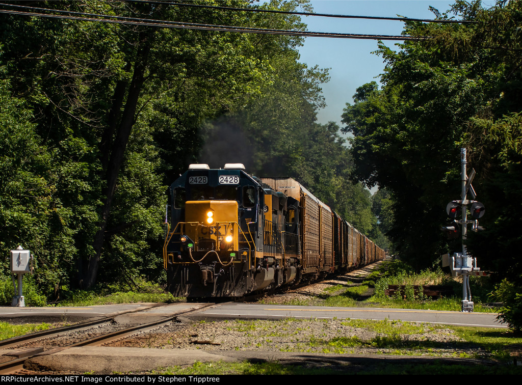 CSX 2428 is leading Q262